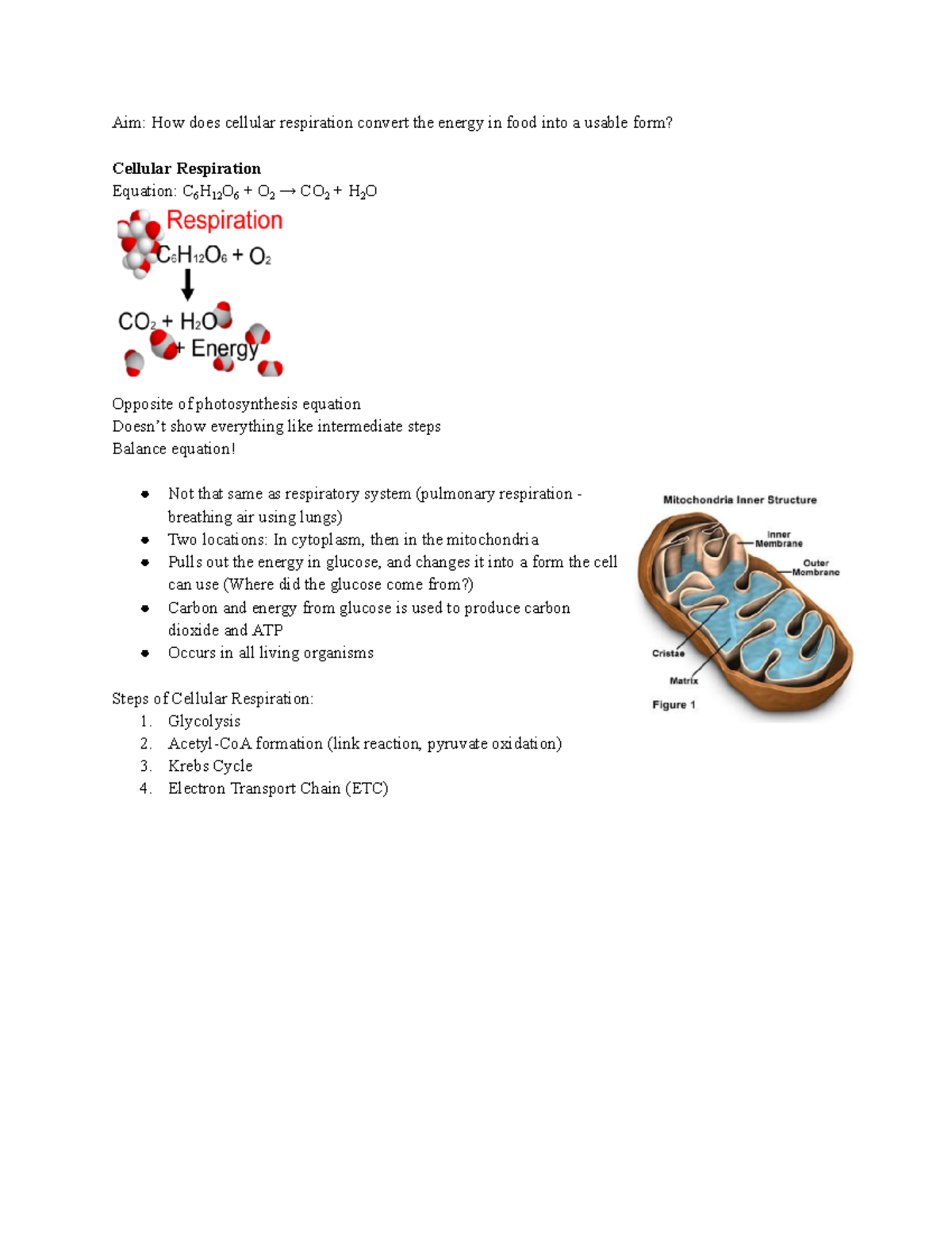 Ap Bio Unit 6: Cellular Respiration - Aim: How does cellular ...