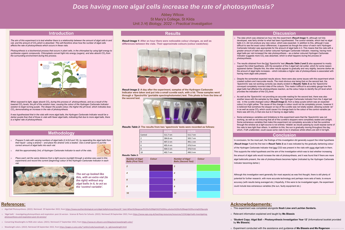 Abbey Practical Investigation - Algal Balls PDF - Result Image 2: A day ...