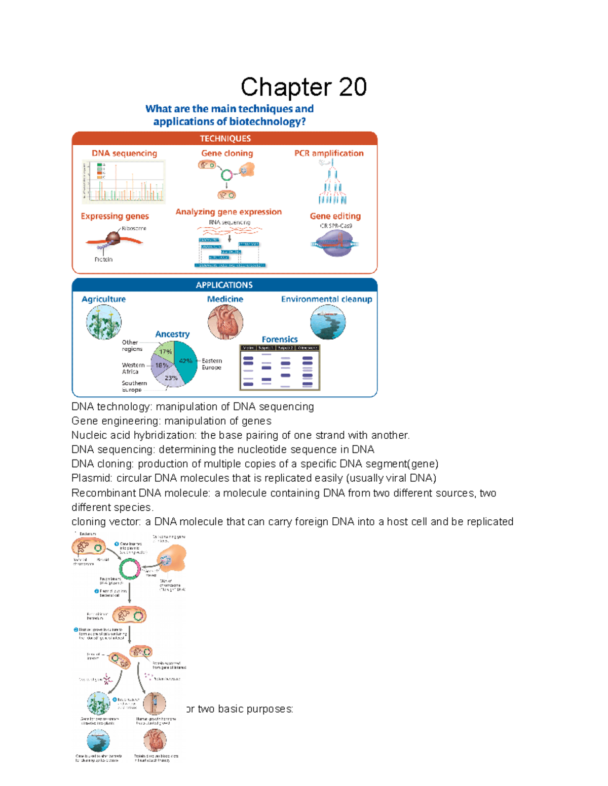 Biology Chapter 20 - Chapter 20 DNA technology: manipulation of DNA ...