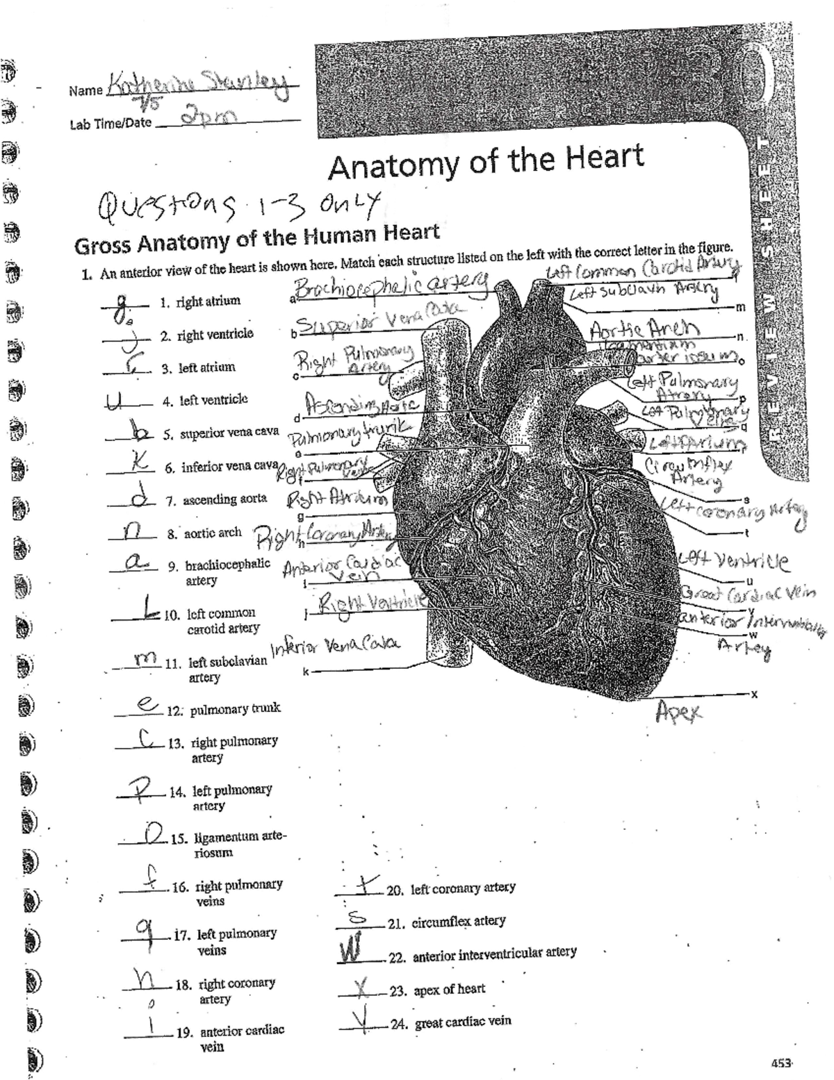 Anatomy of the heart finished - AL101 - Studocu