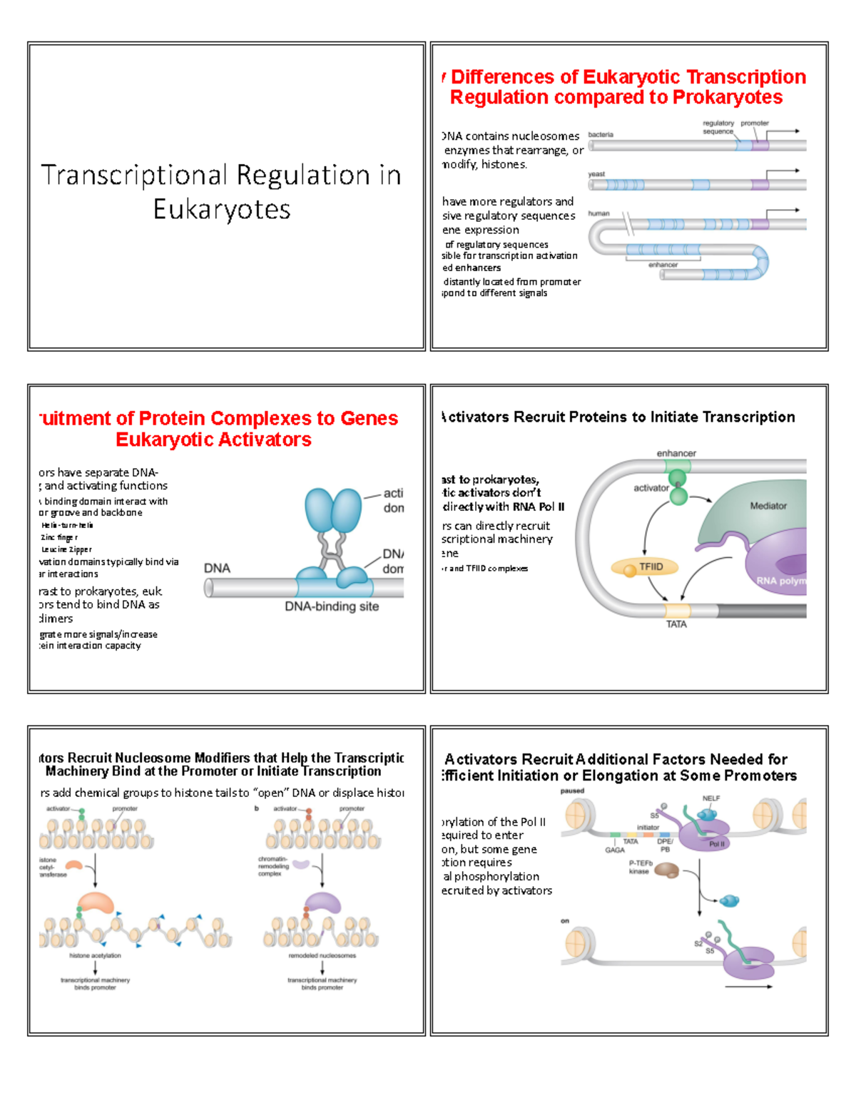 Eukaryote Transcriptional Regulation - Transcriptional Regulation in ...