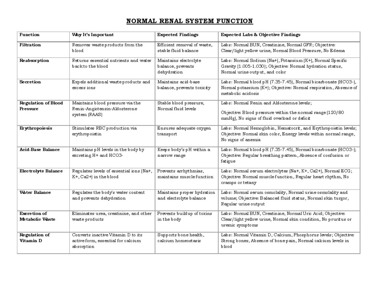 Kidney+Function+Worksheet - NORMAL RENAL SYSTEM FUNCTION Function Why ...