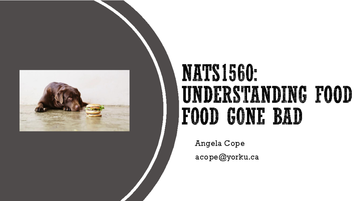 Lectured 5 6 copy - 00000000000000000 - NATS1560: UNDERSTANDING FOOD ...