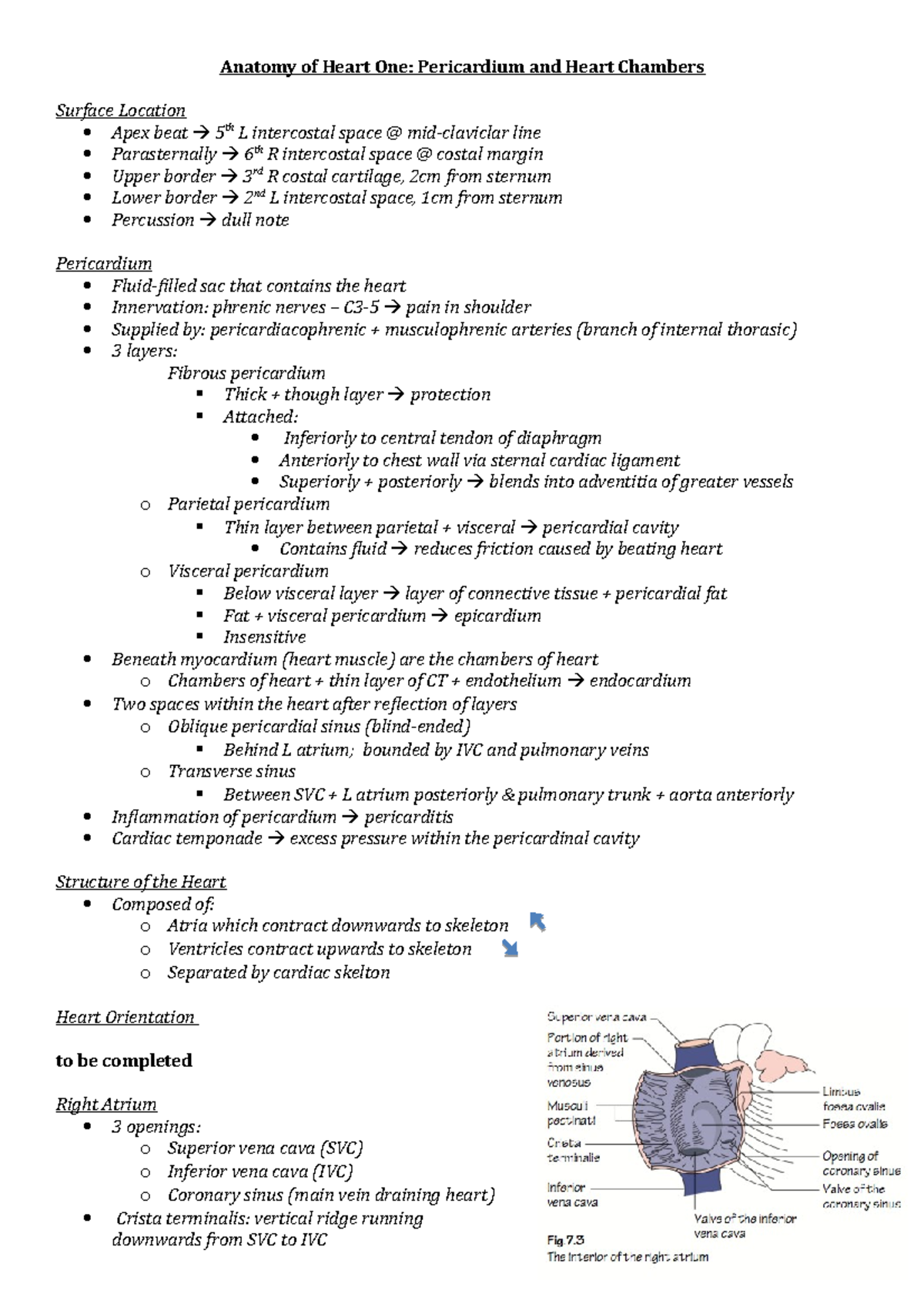 Anatomy of thorax - Anatomy of Heart One: Pericardium and Heart ...