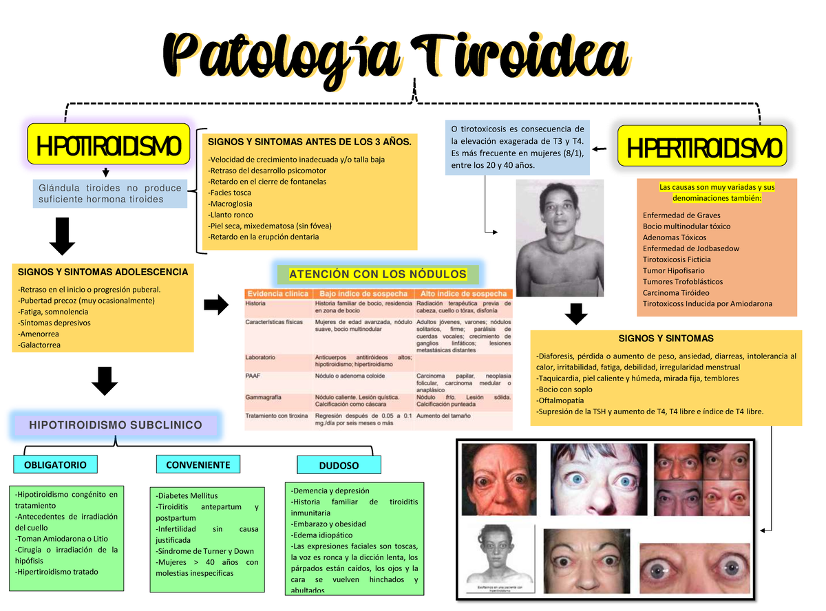 Tiroide - Apuntes 1 - Patología Tiroidea Patología Tiroidea ...