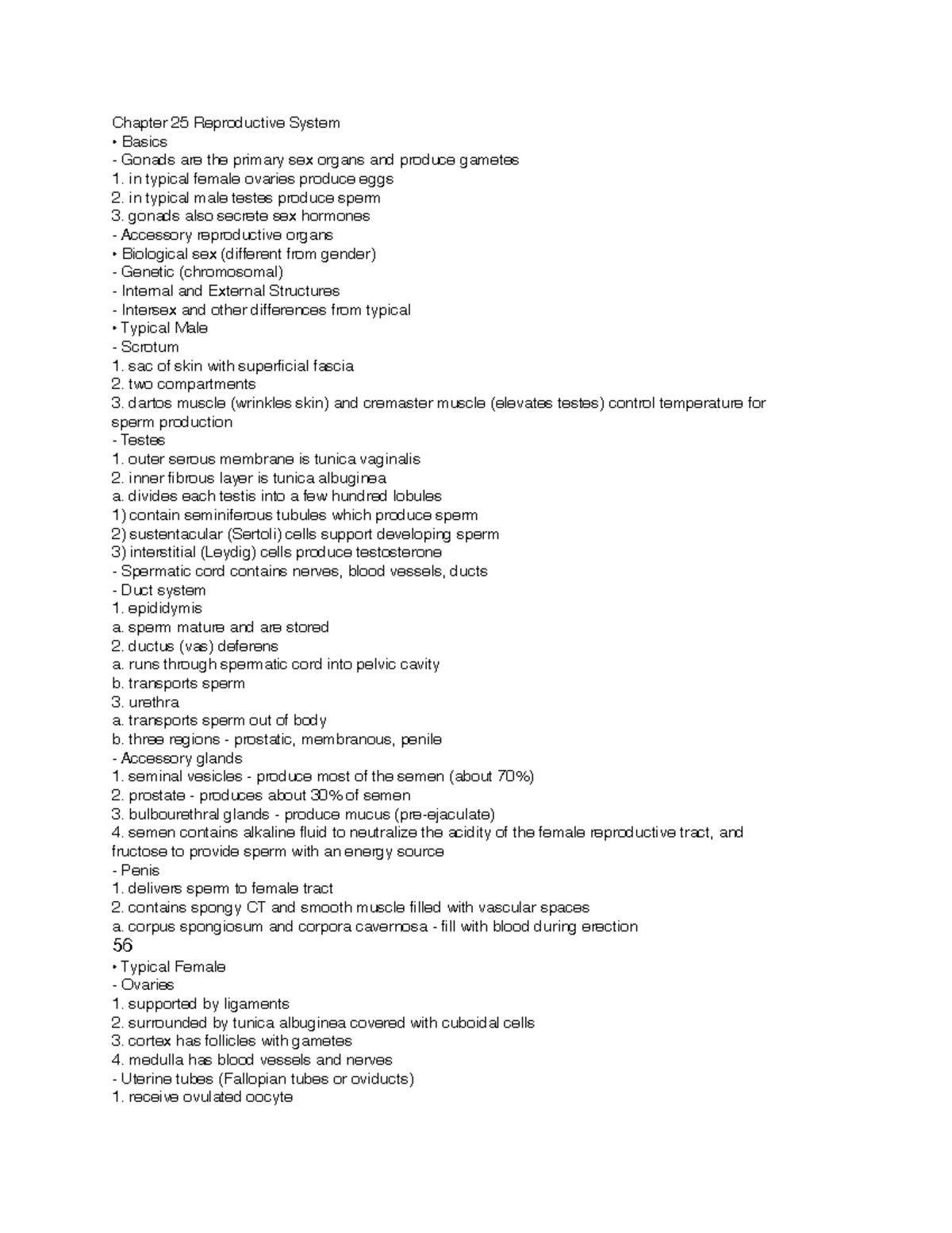 Anat 25 - reproductive system anatomy class notes - Chapter 25 ...