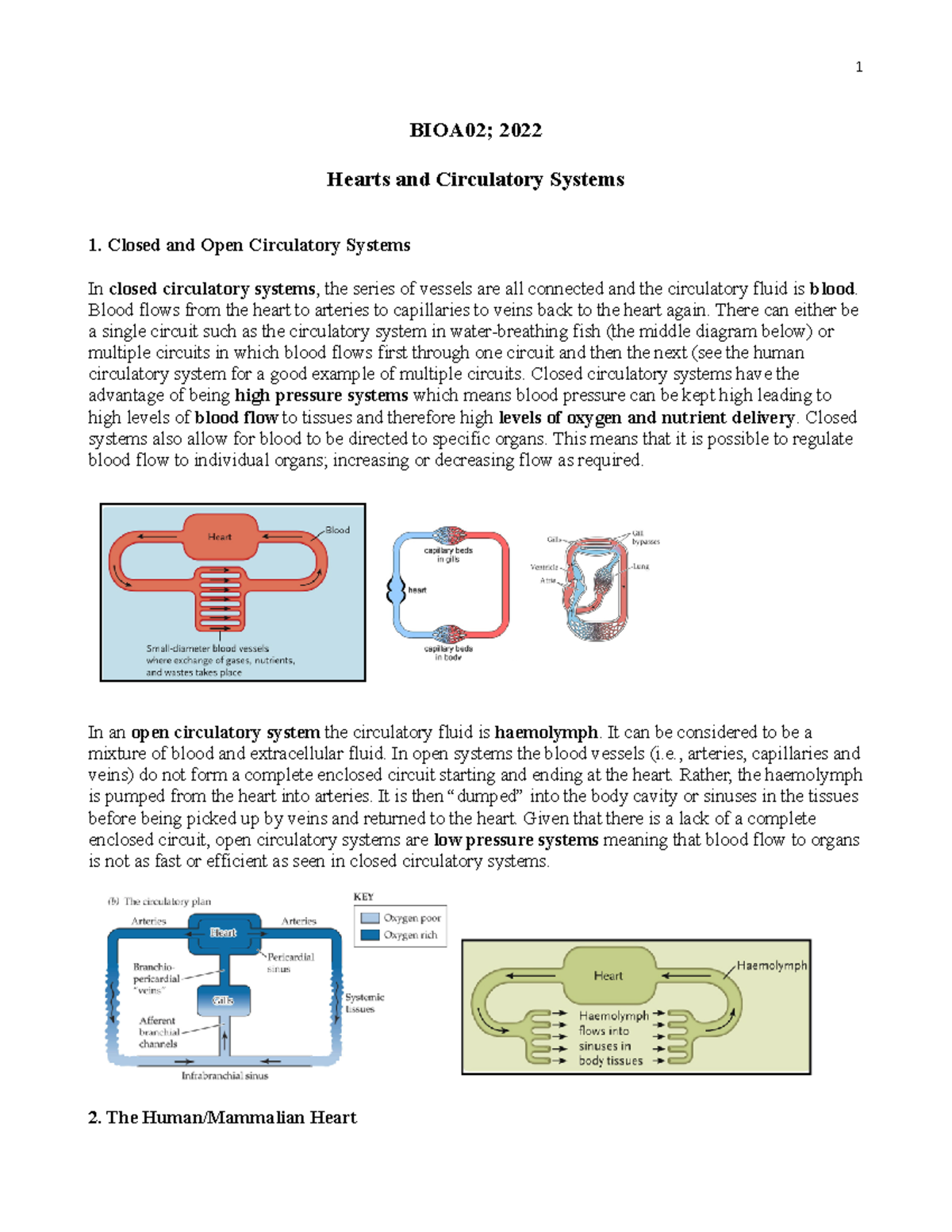 Lecture 5 Notes 2022 Hearts and Circulatory Systems - BIOA02; 2022 ...