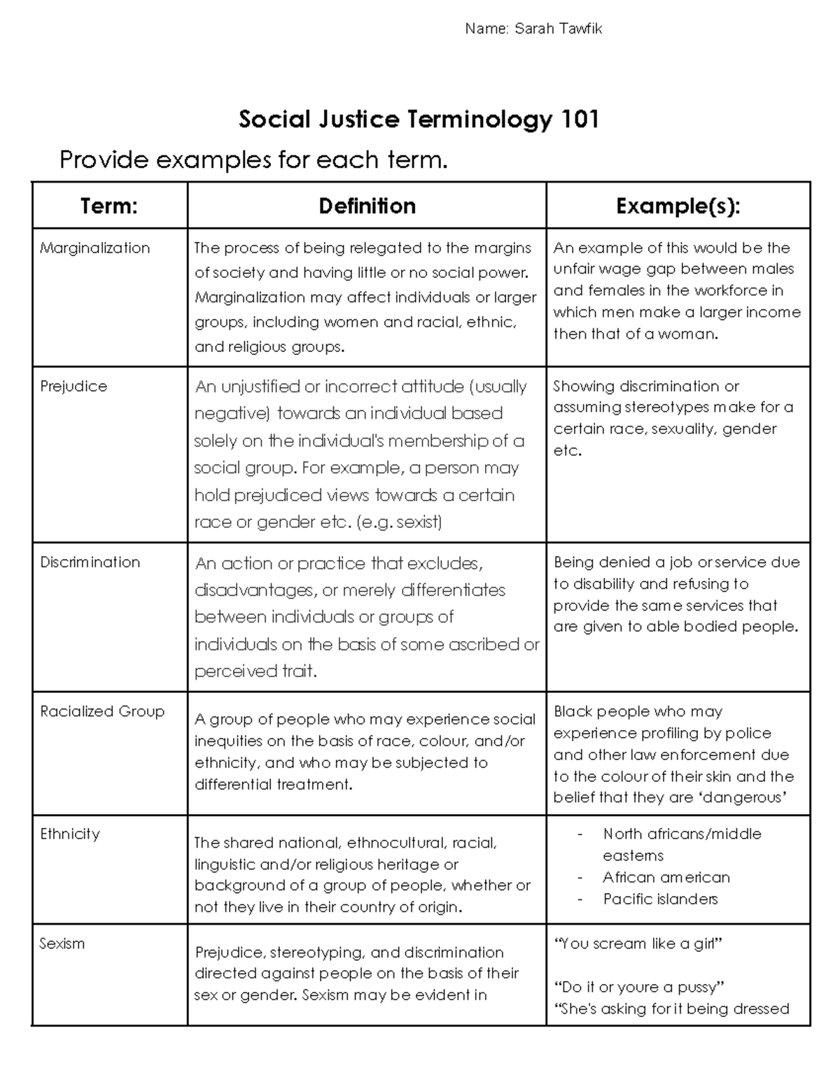 08 Social Justice Terminology 101 - Handout - Social Justice ...