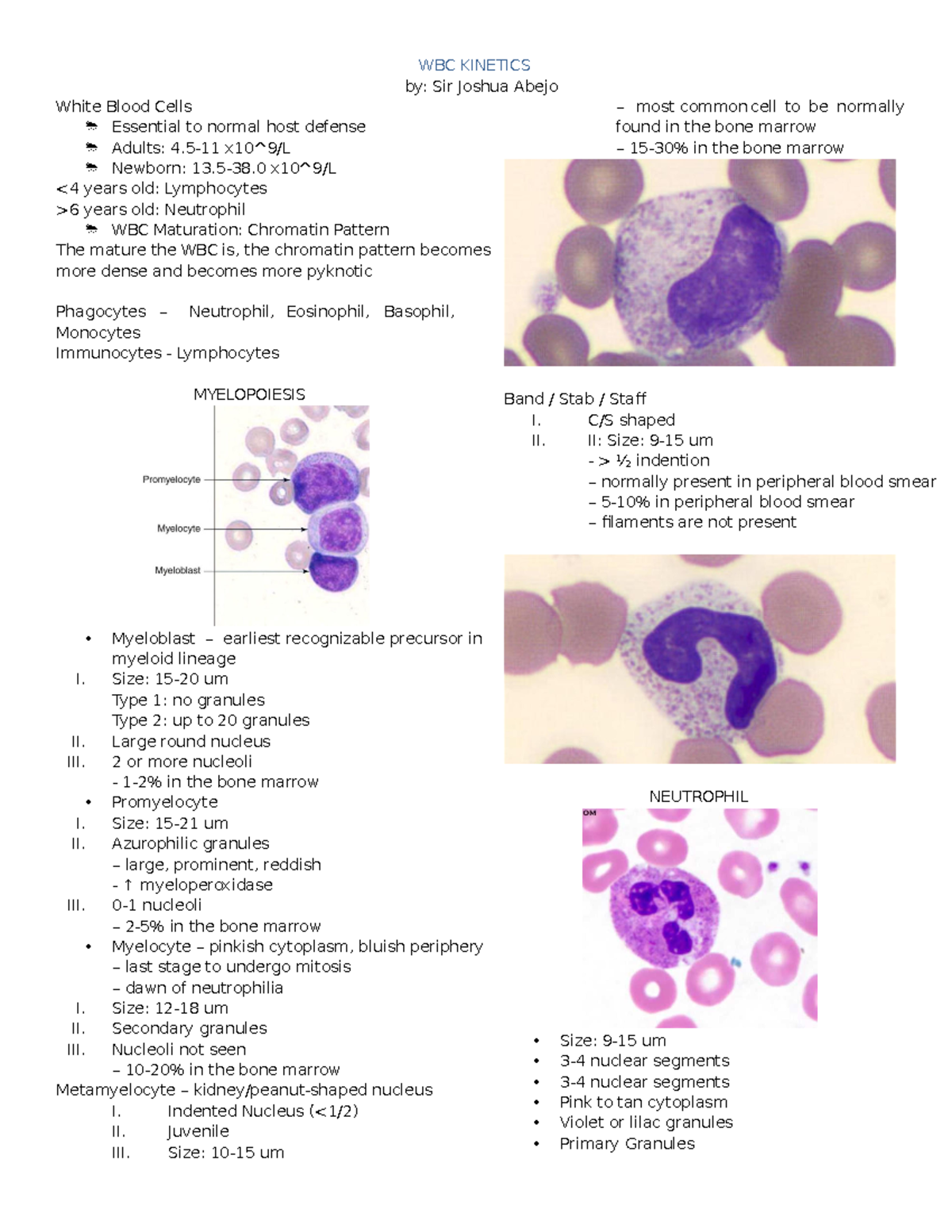 WBC Kinetics with side Notes - WBC KINETICS by: Sir Joshua Abejo White ...