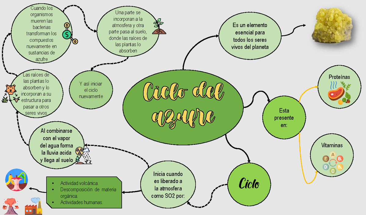 Mapa del Ciclo del azufre - Es un elemento esencial para todos los ...