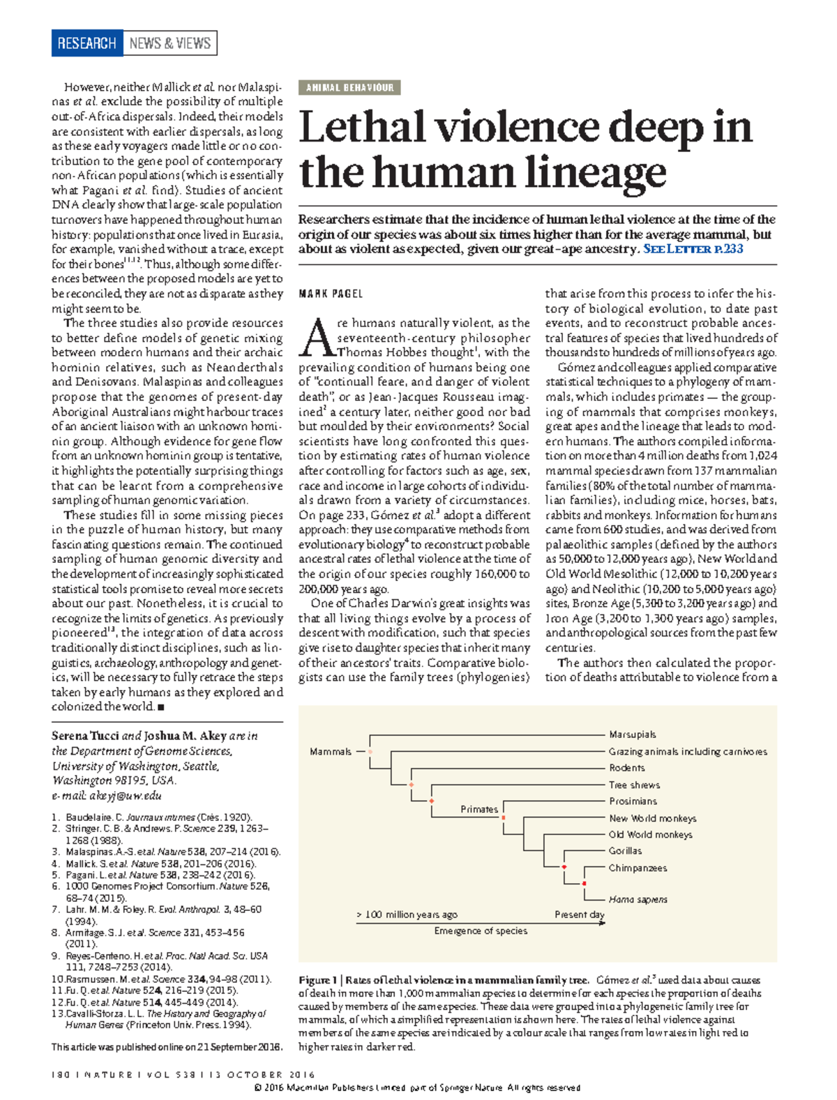 Violence mammals - article - M A R K PA G E L A re humans naturally ...