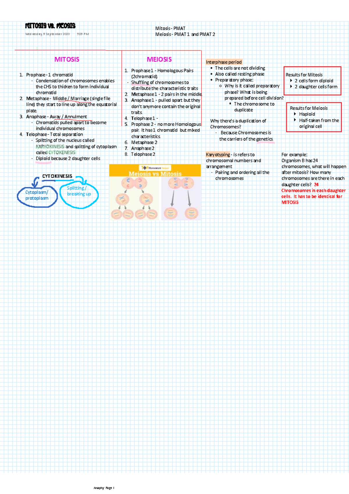 Mitosis Vs. Meosis - MITOSIS MEIOSIS Mitosis - PMAT Meiosis - PMAT 1 ...