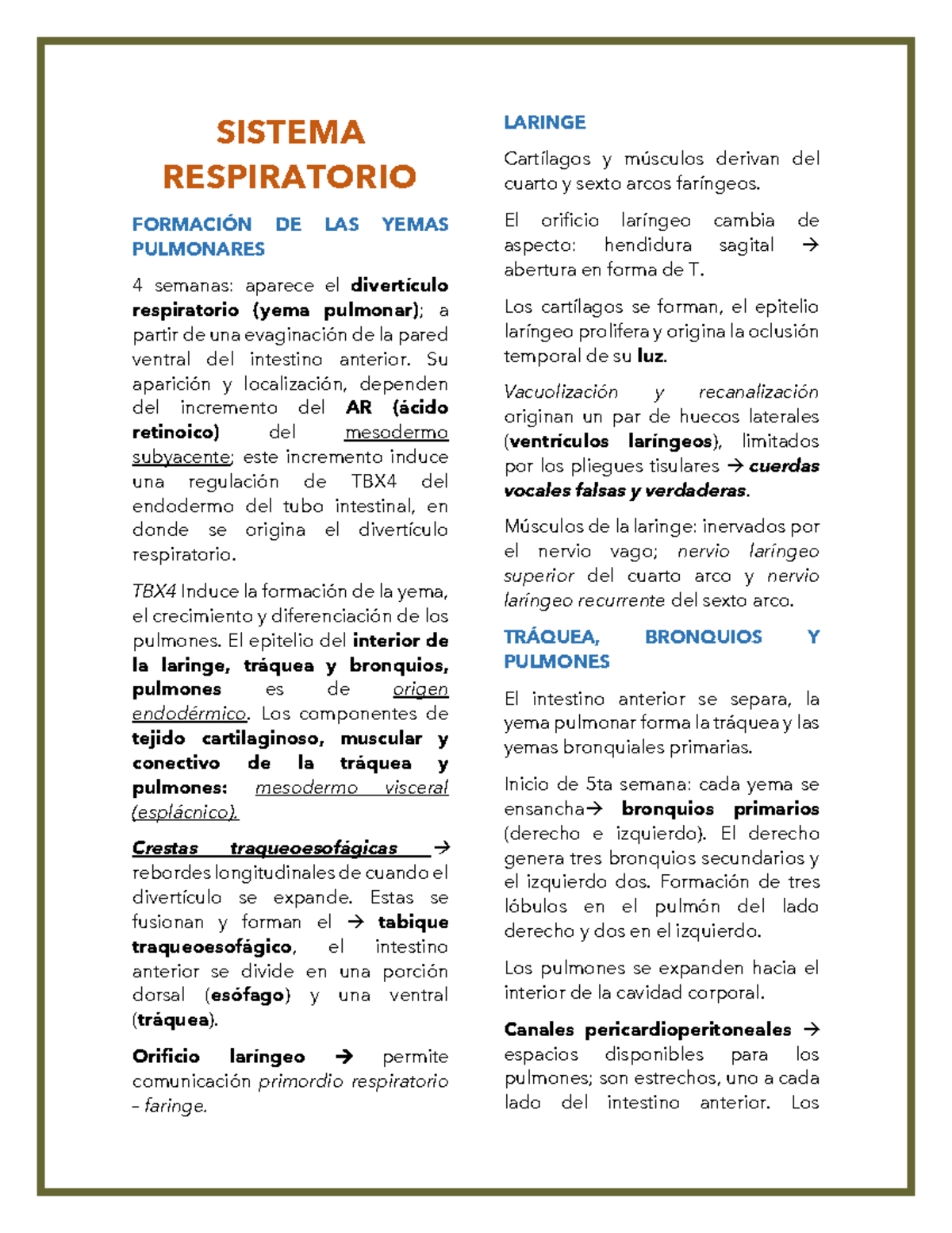 Sistema Respiratorio - Resumen del Capítulo 16, Embriología - SISTEMA RESPIRATORIO FORMACI”N DE ...