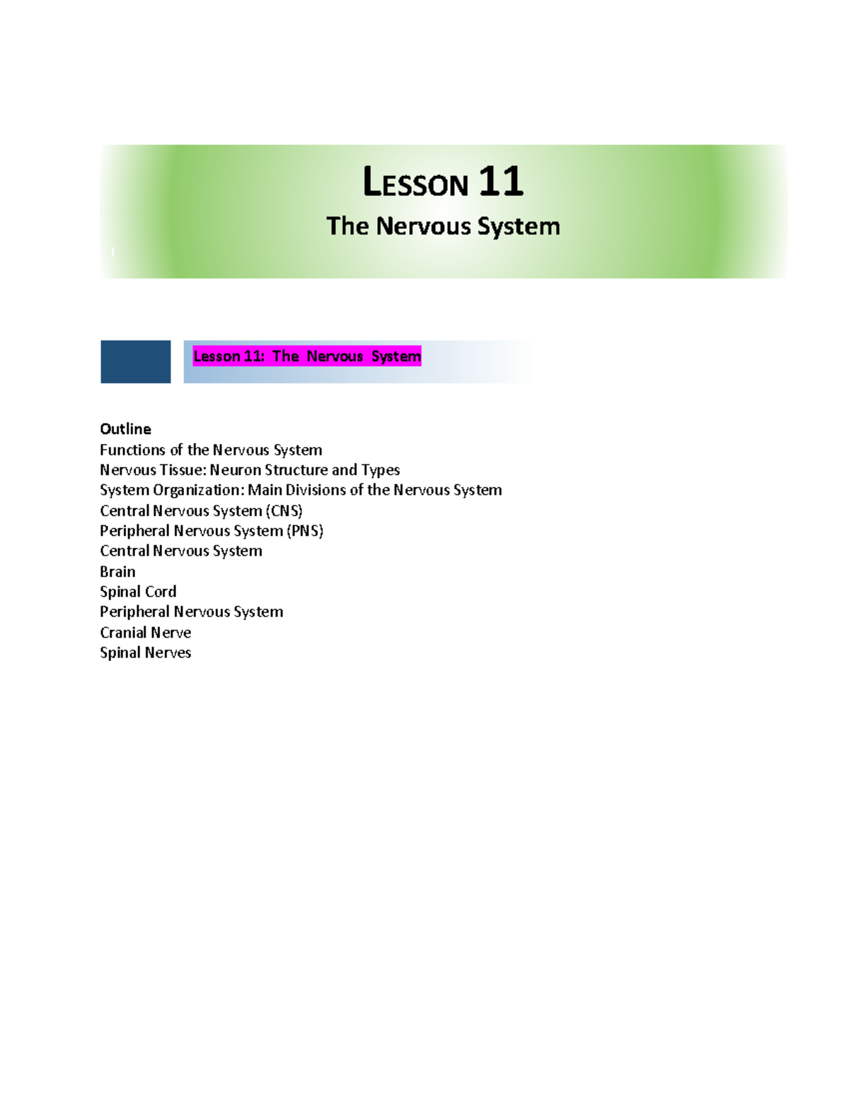 Lesson 11 Nervous System - Outline Functions of the Nervous System Nervous Tissue: Neuron ...