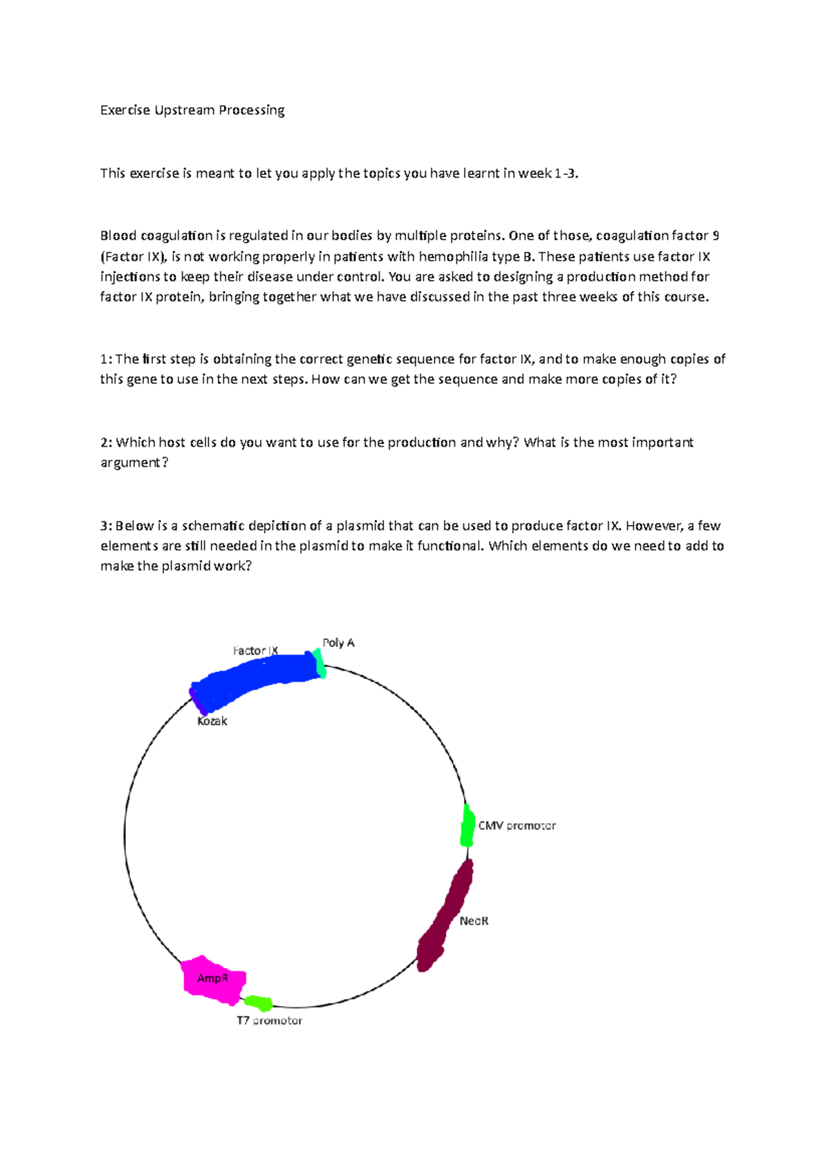 Exercise Upstream Processing - Blood coagulation is regulated in our ...