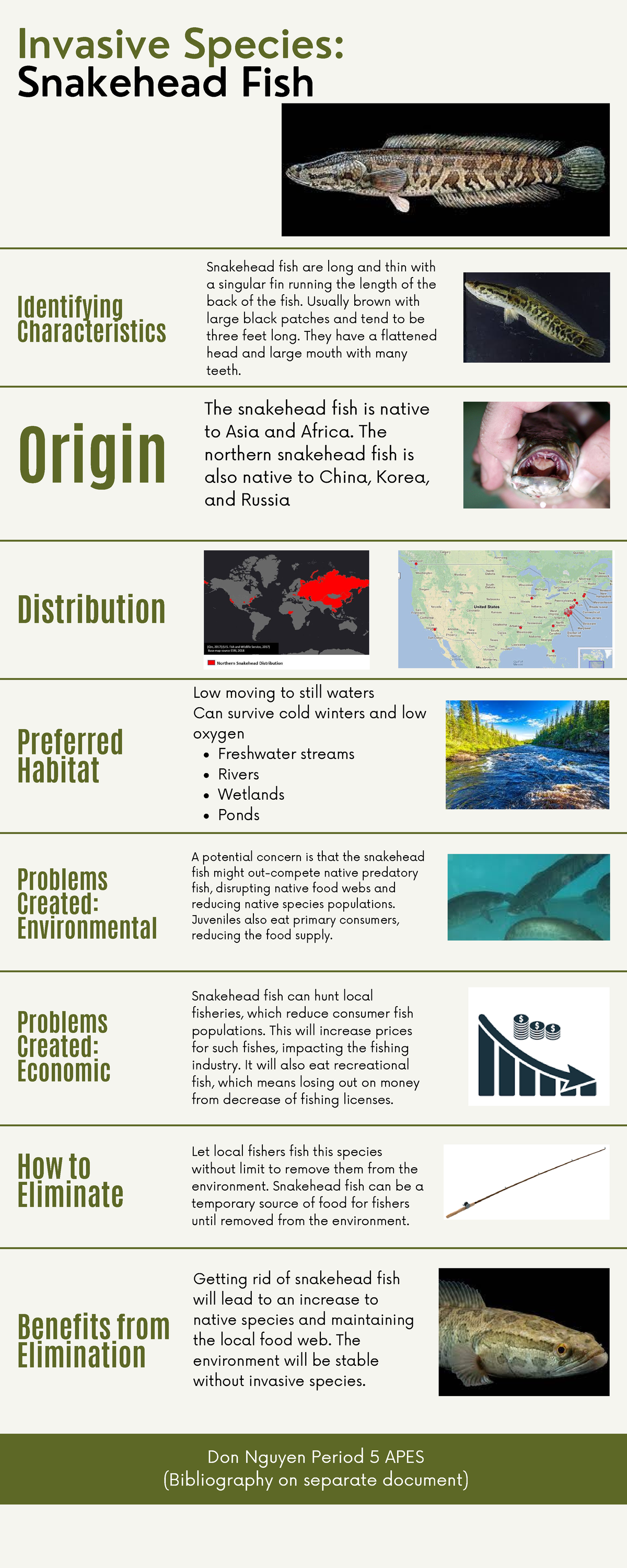 APES invasive species project Don Nguyen Pd - Invasive Species ...