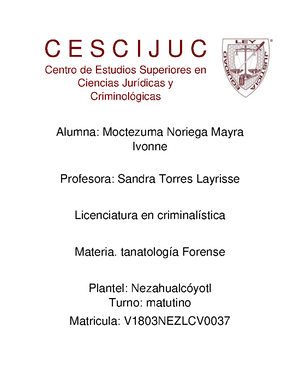 Fases de la putrefacción - Matutino V2003VIRLCV FASES DE LA ...