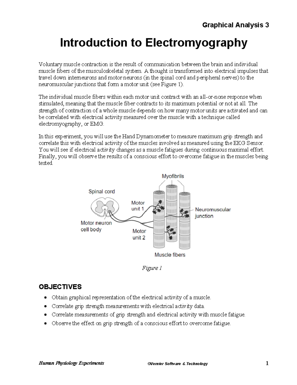 Electromyogram V2 - Human Physiology Experiments ©Vernier Software ...