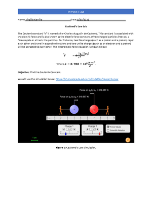 Charges and Fields Lab-1 - Charges and Fields Name: Play with the ...