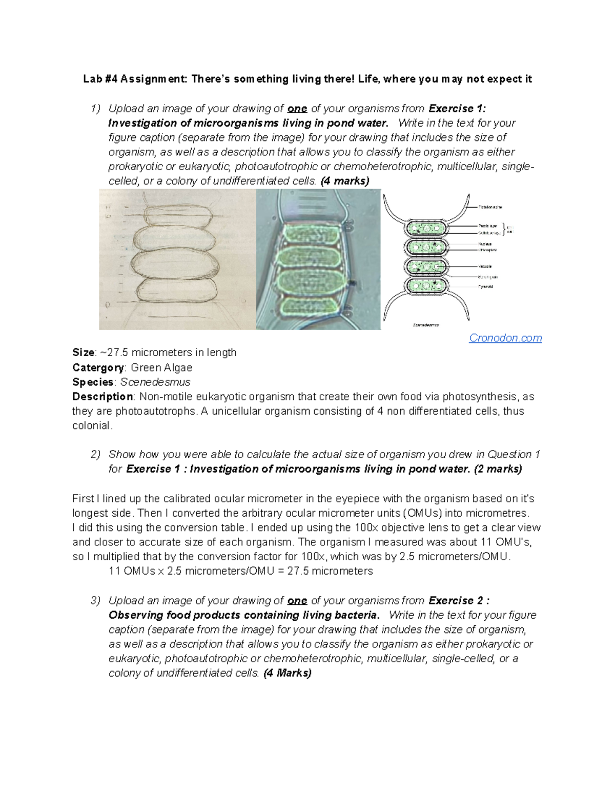 Lab 4 Assignment Questions - Lab #4 Assignment: There’s something living there! Life, where you ...