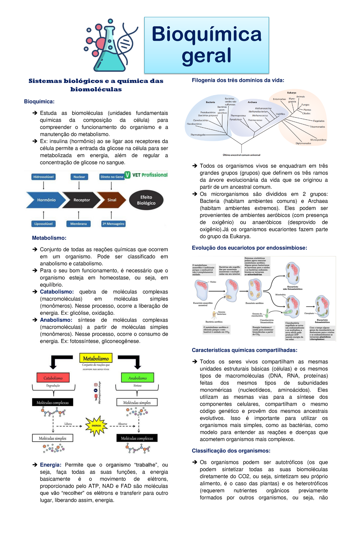 Resumo de bioquímica 1 - geral Sistemas biológicos e a química das ...