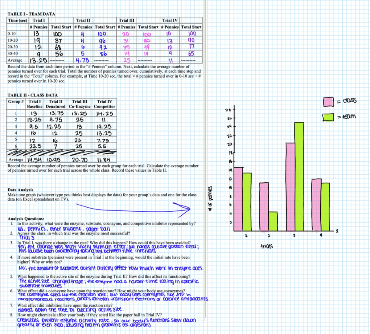Penny Picker Enzyme Lab - Studocu