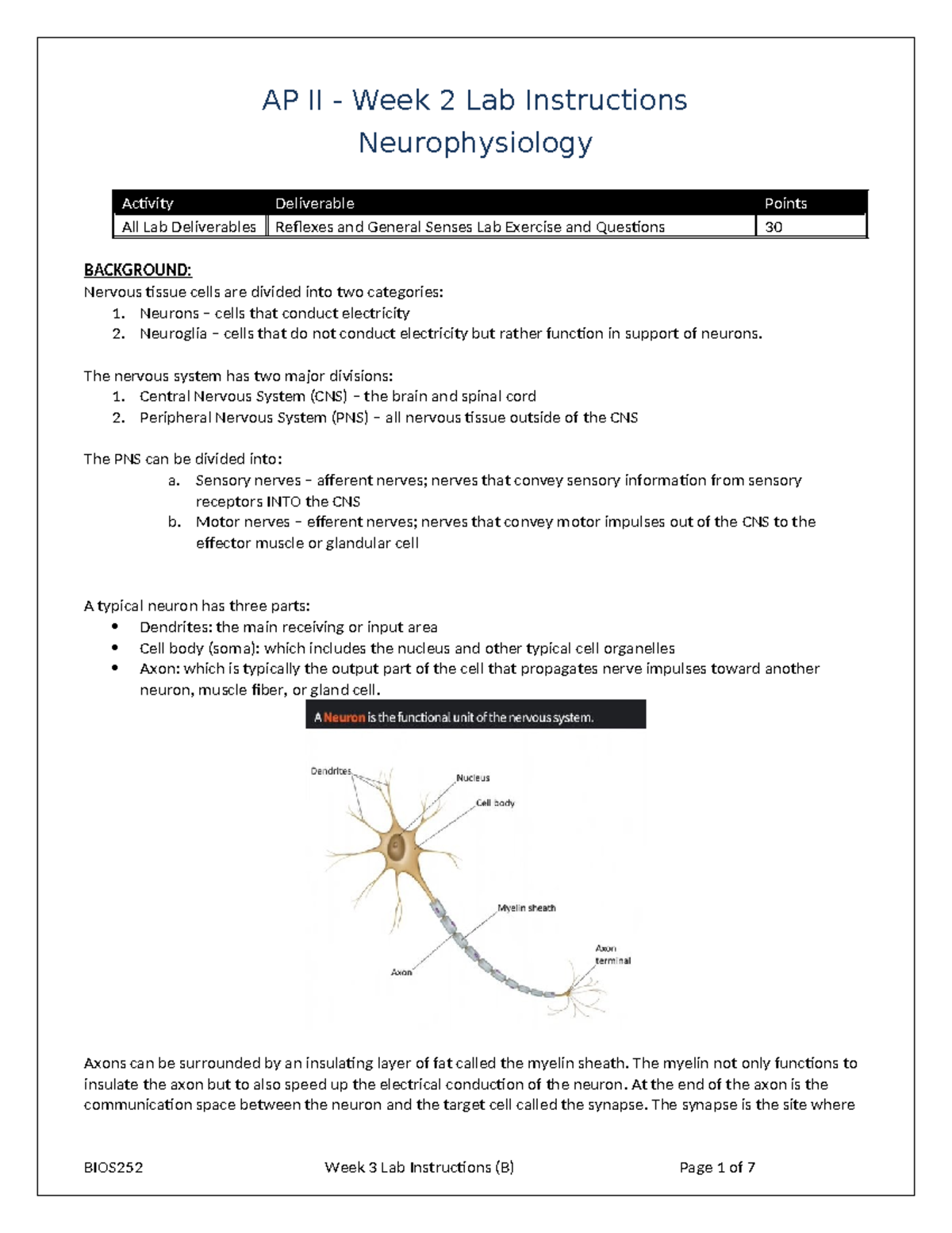 BIOS252 W2 Lab Instructions - July24 Updated - AP II - Week 2 Lab ...