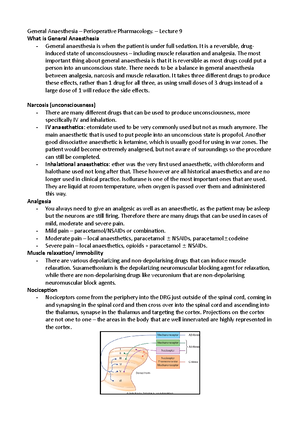 Pain mechanisms and an introduction to analgesic drugs - Pain ...