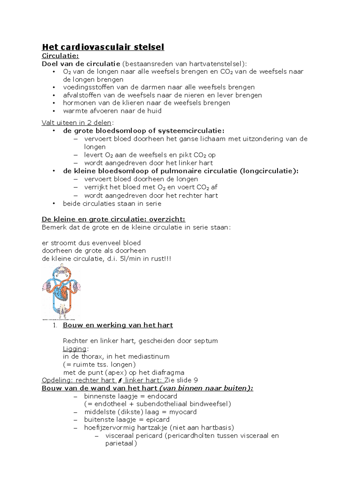 Bouw en werking van het hart schema - Het cardiovasculair stelsel ...