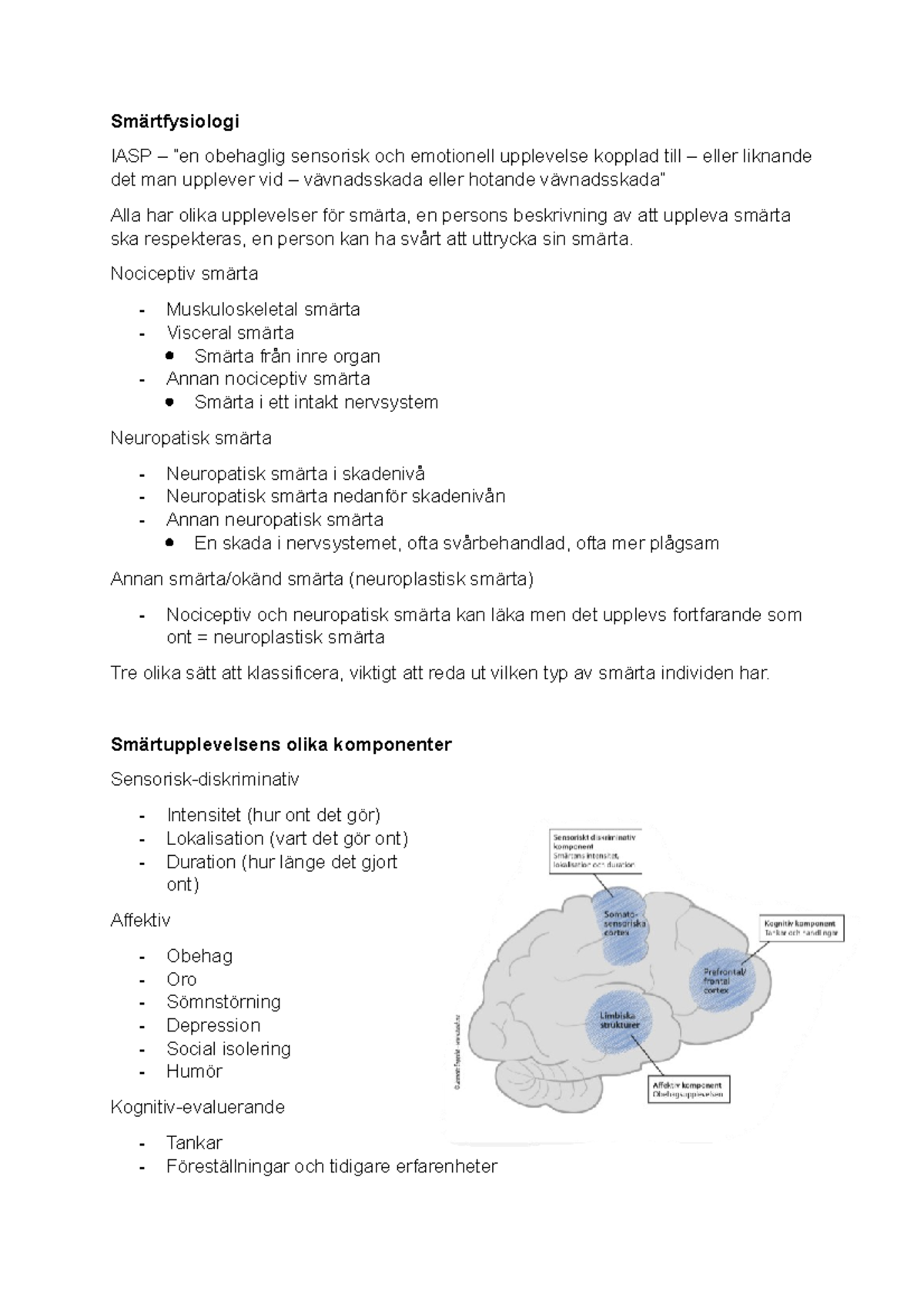 Smärtfysiologi - olika typer av smärta, nociceptorer, smärthämning och ...