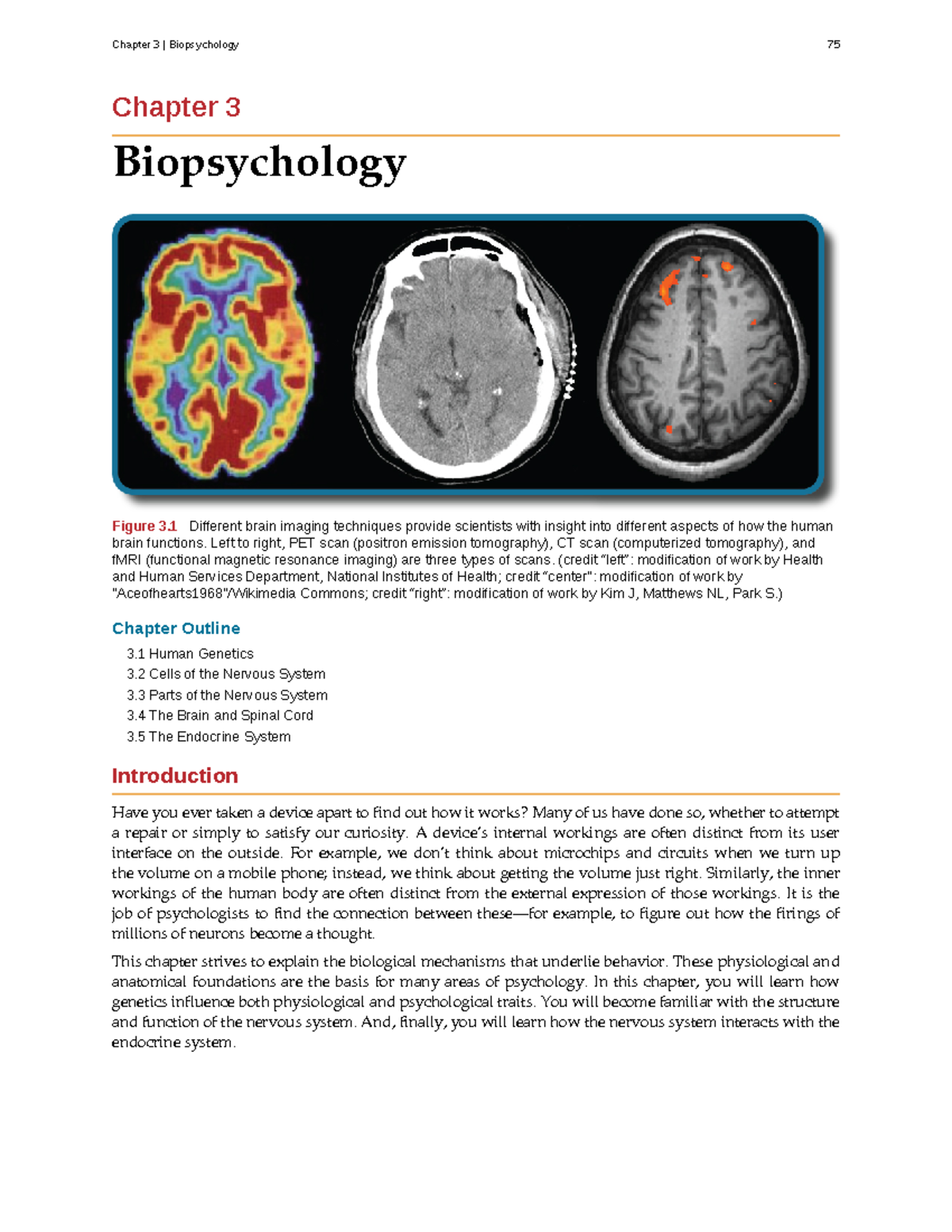 Chapter 3 - Samuel Peavy - Chapter 3 Biopsychology Figure 3 Different ...