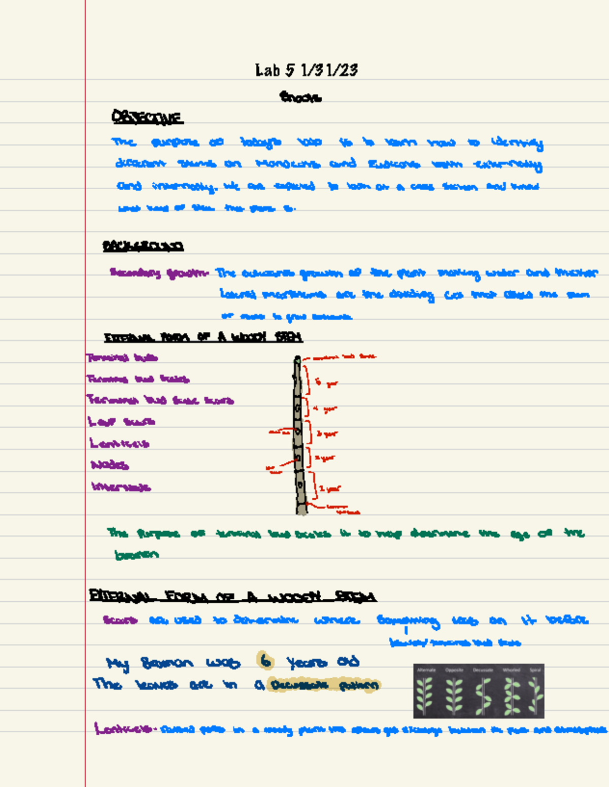Bio 410 lab notes 5 - Lab homework 5 - Shoots &JECTIVE The purpose of ...