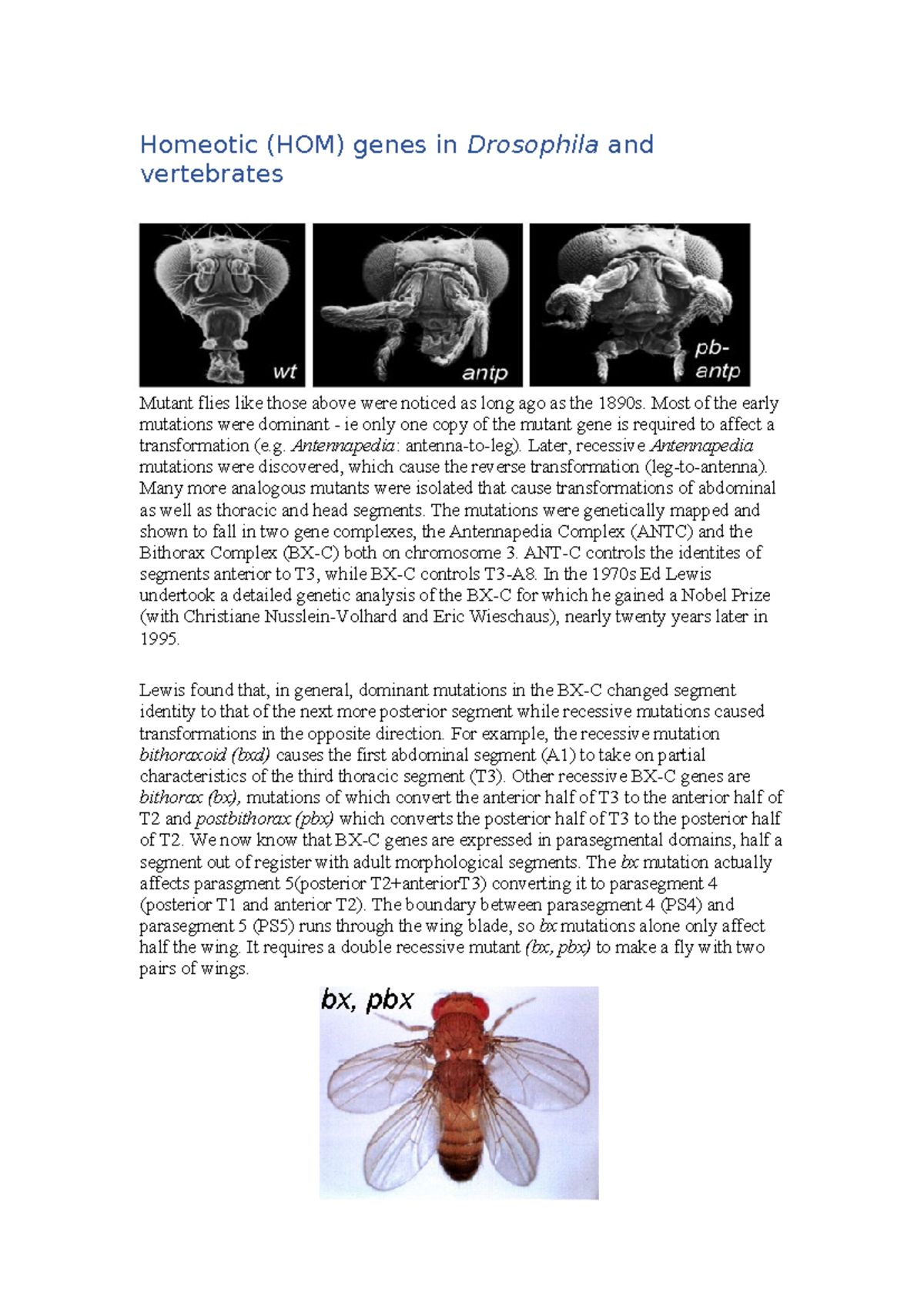 06 Homeotic genes notes - Homeotic (HOM) genes in Drosophila and ...