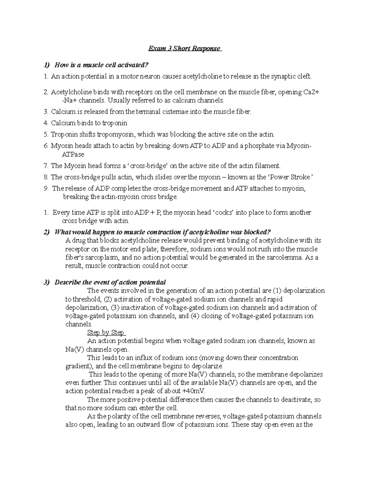 Important Short Responce - Exam 3 Short Response 1) How is a muscle ...