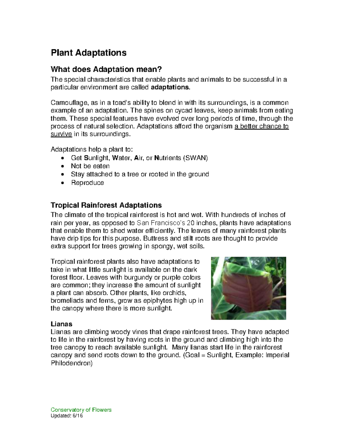 Plant Adaptations - project - Conservatory of Flowers Plant Adaptations ...
