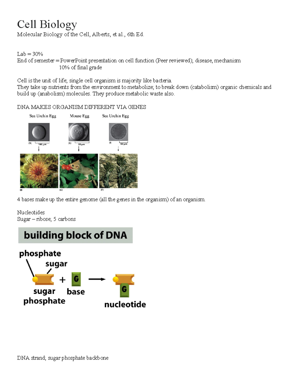 Cell Biology- Chapter 1,2 - Cell Biology Molecular Biology of the Cell ...