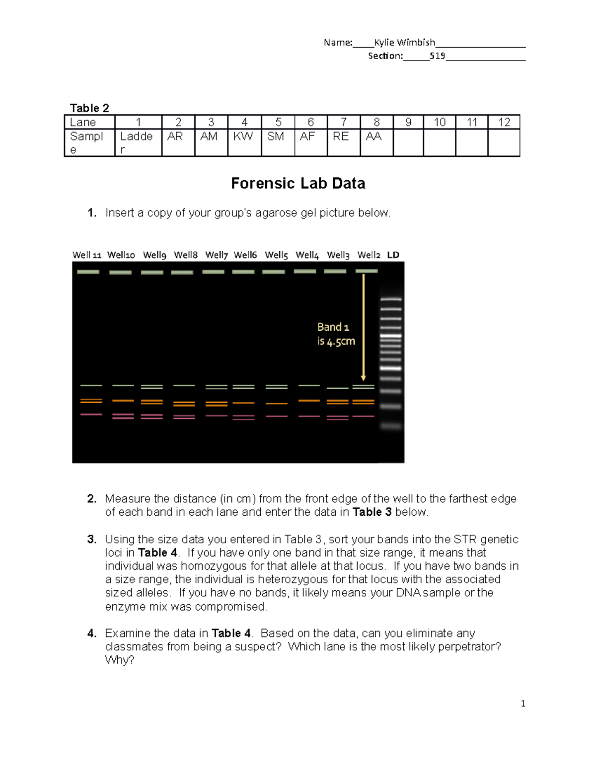 Forensic Biology Bioinformatics IILab protocolanddatasheet F22-1 ...