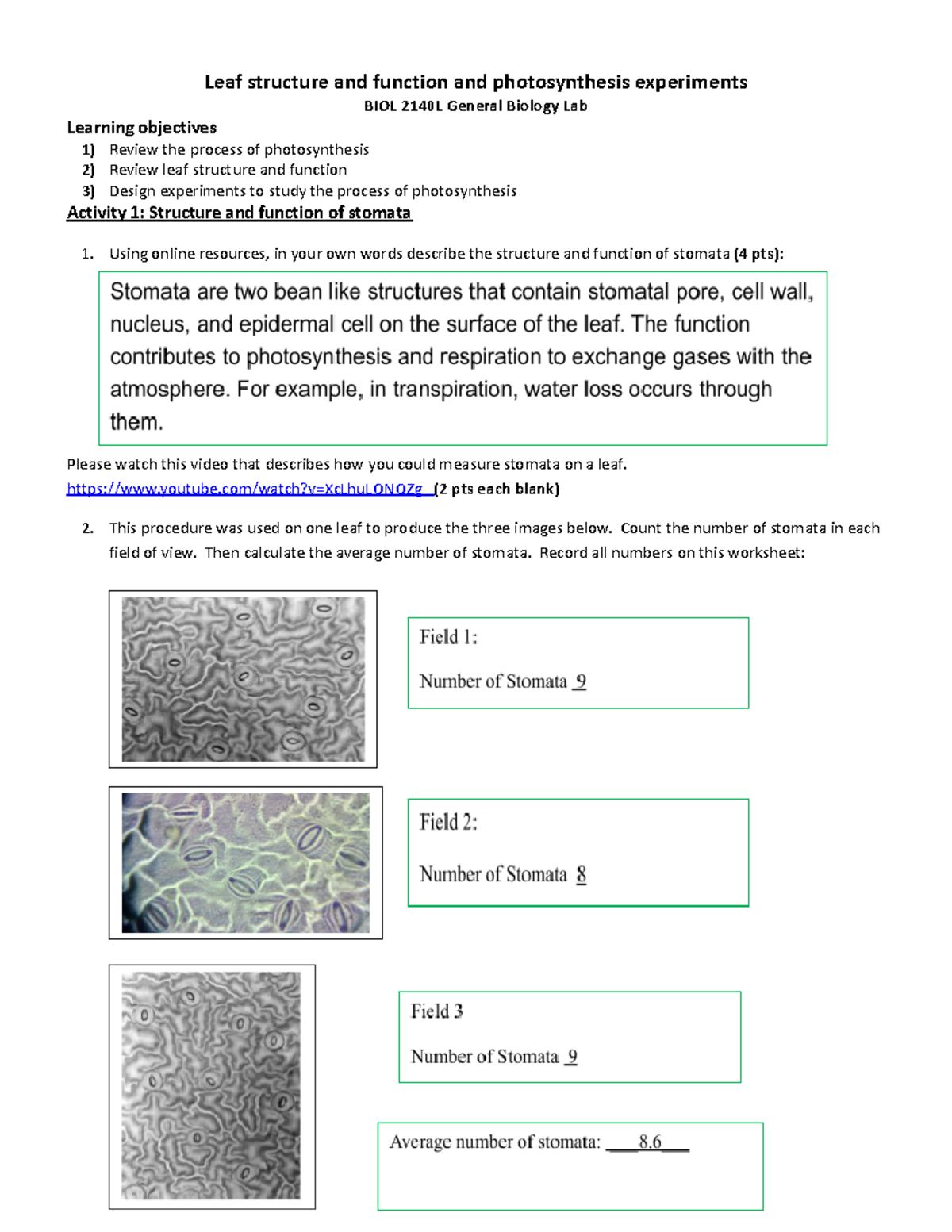 Photosynthesis Worksheet - Completely Virtual Spring 2021-1 - Leaf ...