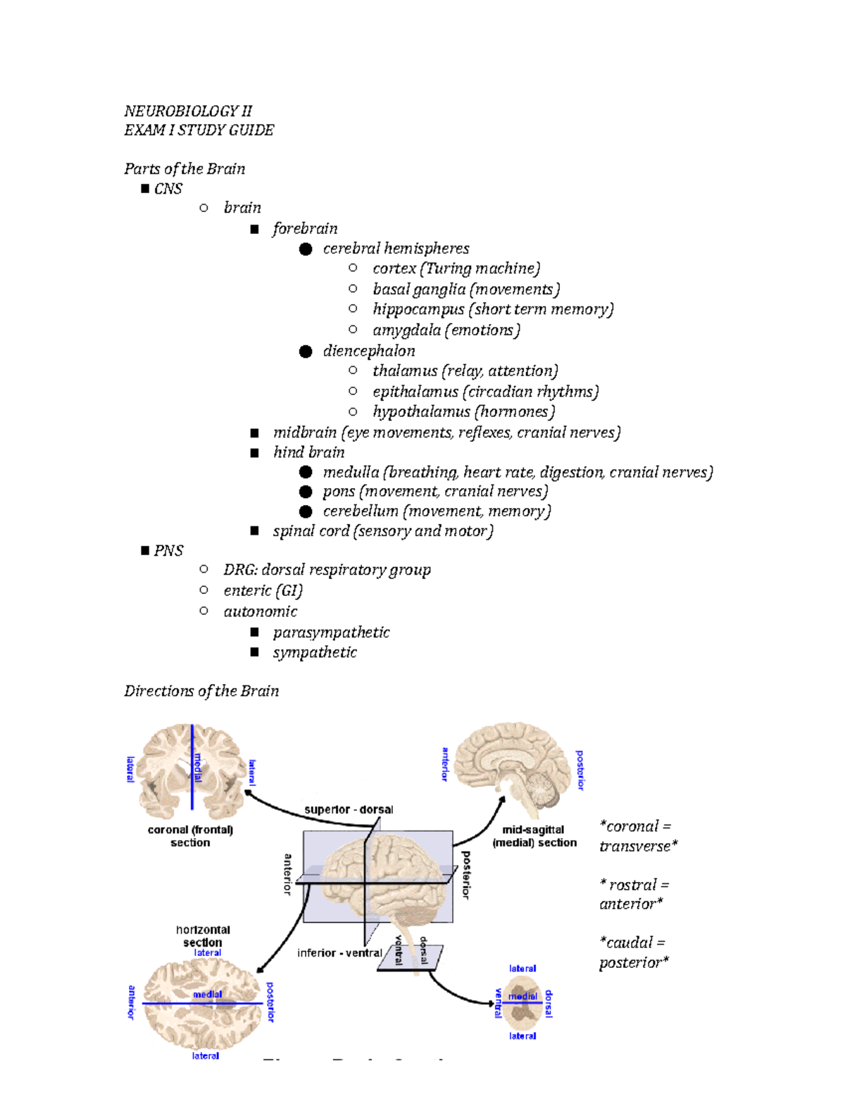 Exam I Study Guide - NEUROBIOLOGY II EXAM I STUDY GUIDE Parts of the ...