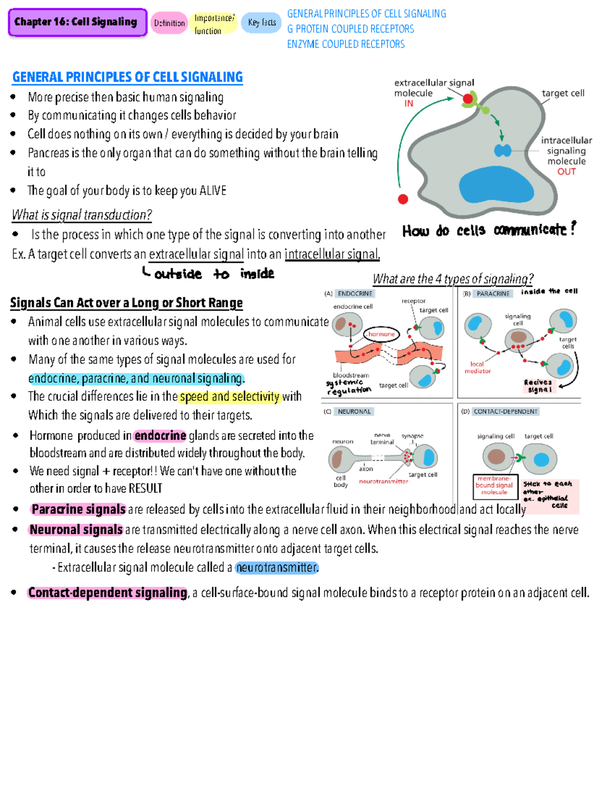 Cell bio chapter 16 cell signaling - BIOL 230 - Studocu
