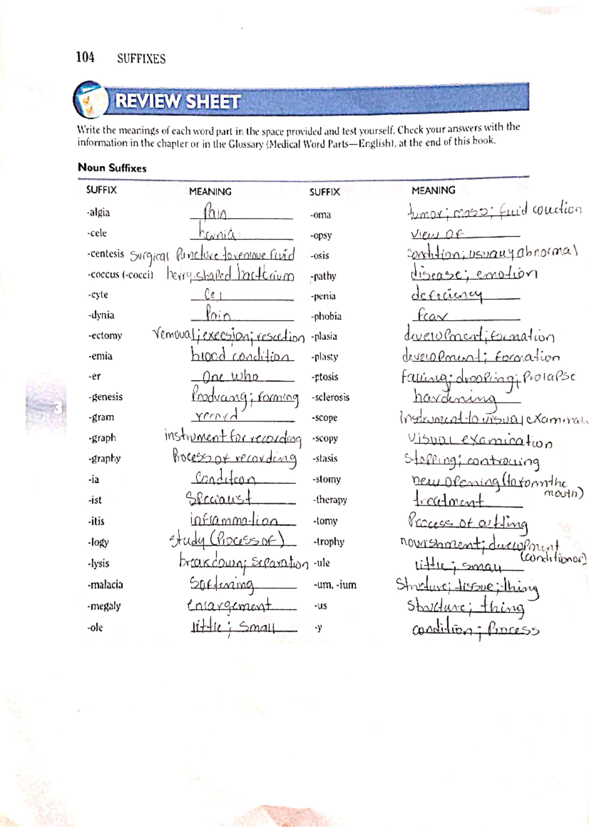 Chapter #3 Review sheet - Inglés Técnico en Salud II - Studocu