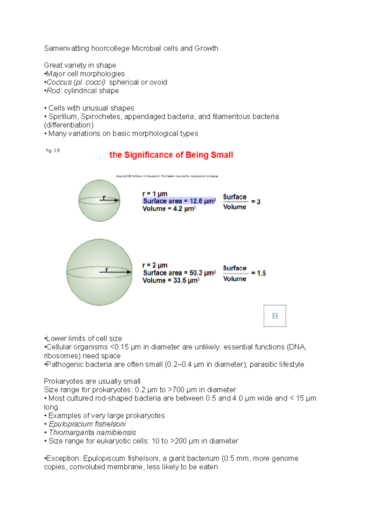 Samenvatting hoorcollege Microbial cells and Growth - cocci): spherical ...