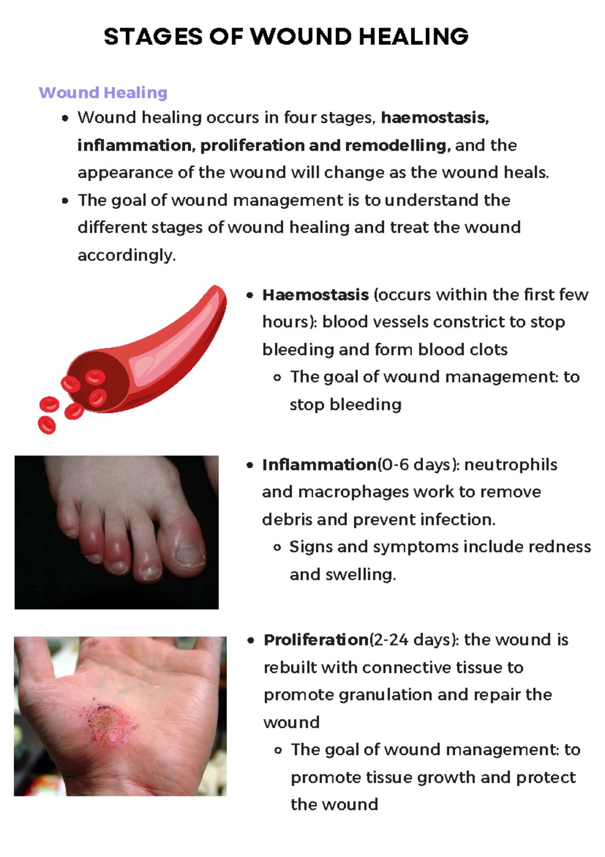 Inflammation - STAGES OF WOUND HEALING Wound healing occurs in four ...