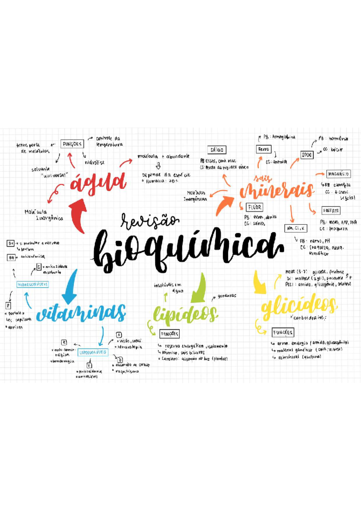 BIOQUIMICA BASICA - Biologia - Studocu