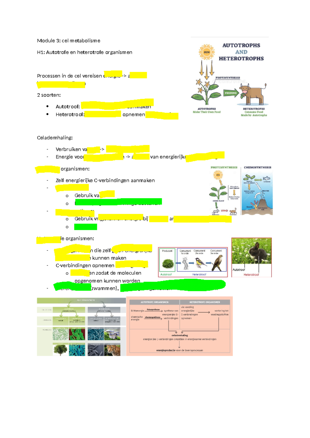 Module 3 - Module 3: cel metabolisme H1: Autotrofe en heterotrofe ...