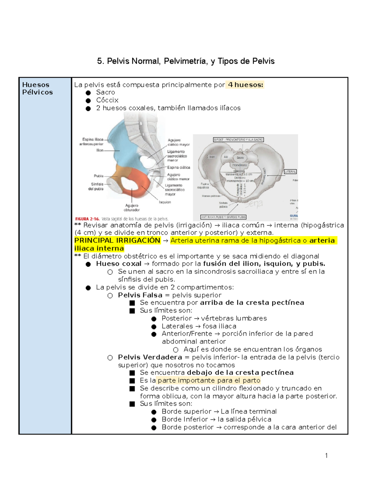 5. Pelvis Normal, Pelvimetría, y Tipos de Pelvis - 5. Pelvis Normal ...
