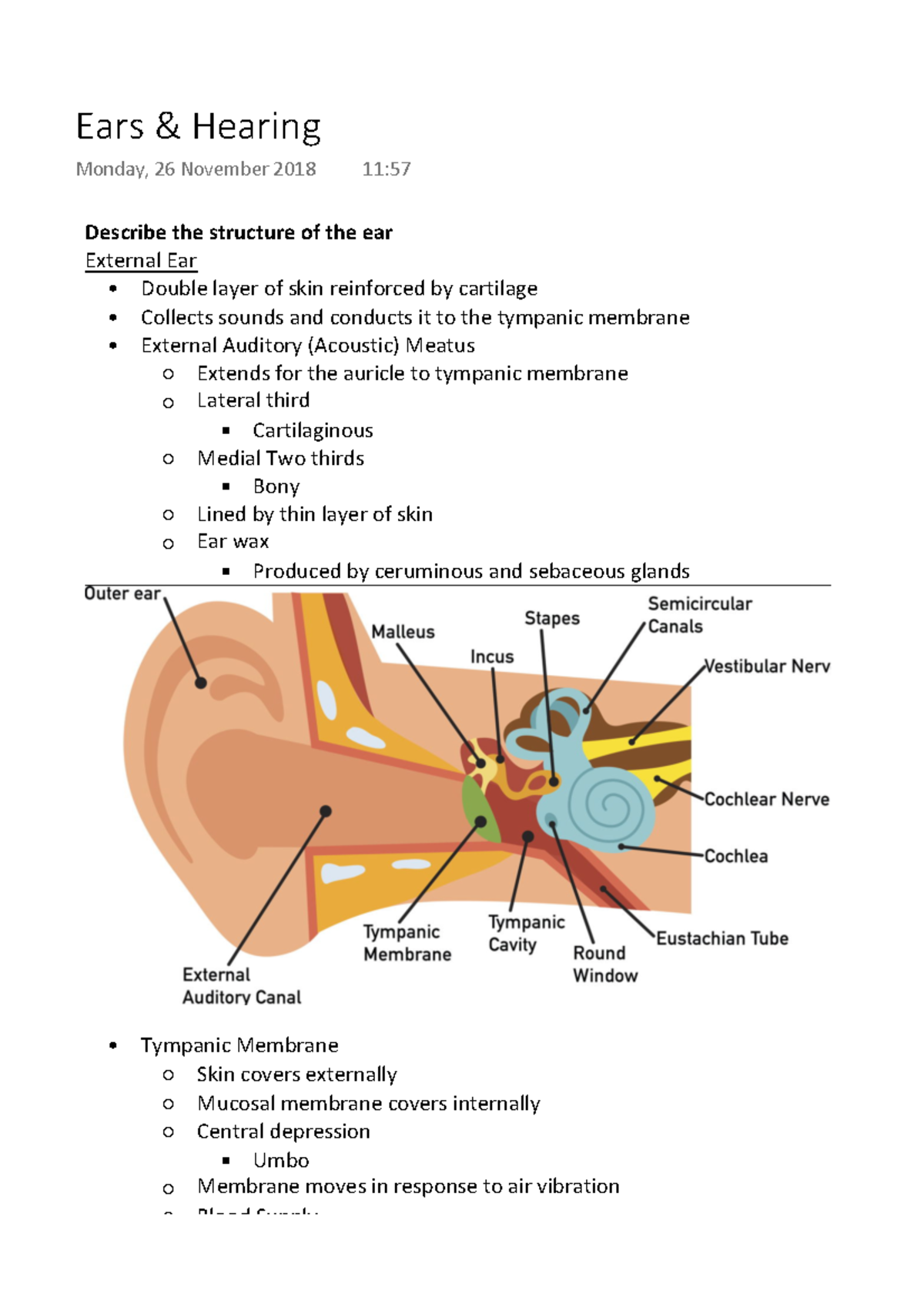 Ears and Hearing - Describe the structure of the ear External Ear ...