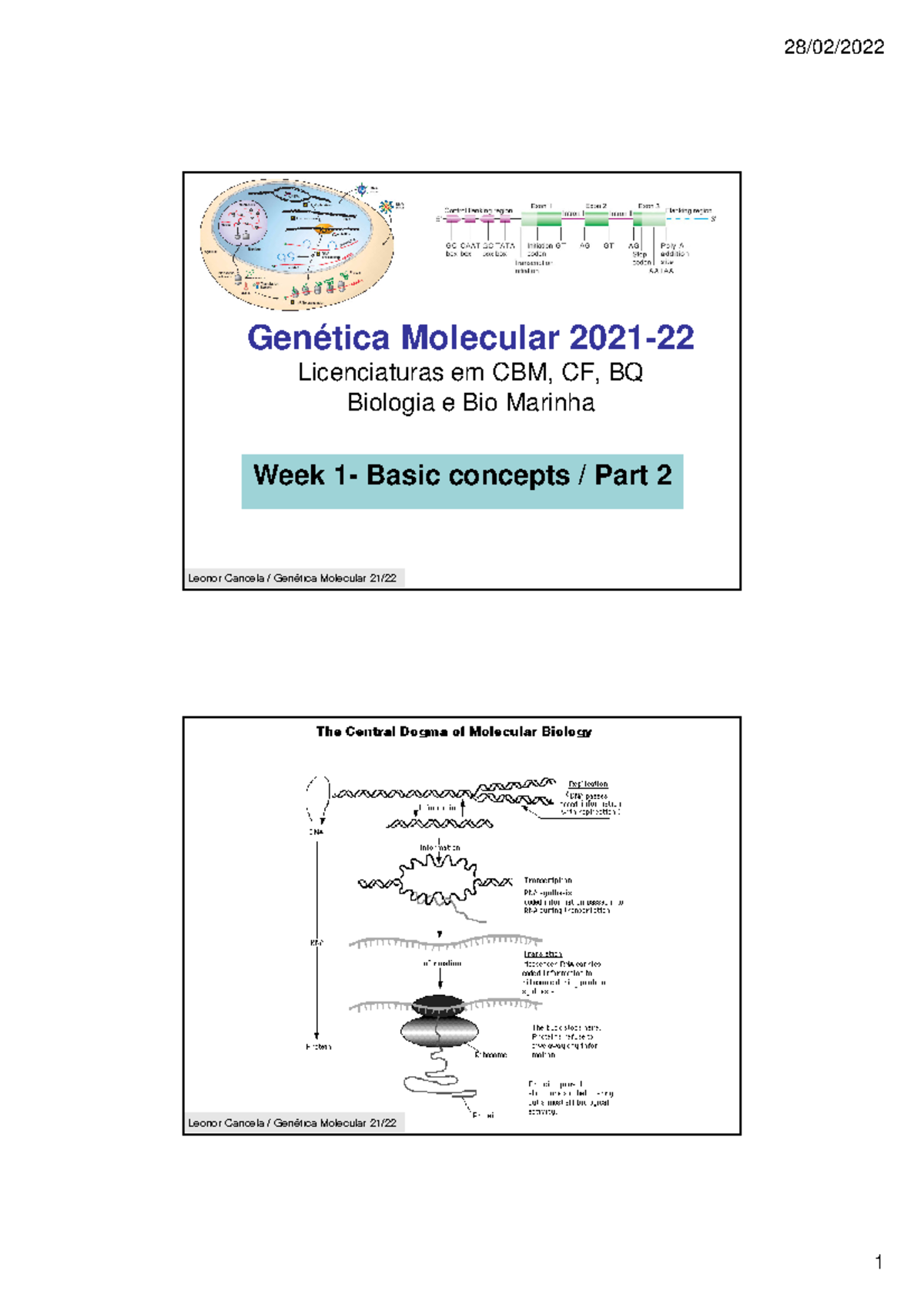 2021-22 T2 Ge Mol - Genética Molecular 2021- Licenciaturas em CBM, CF ...
