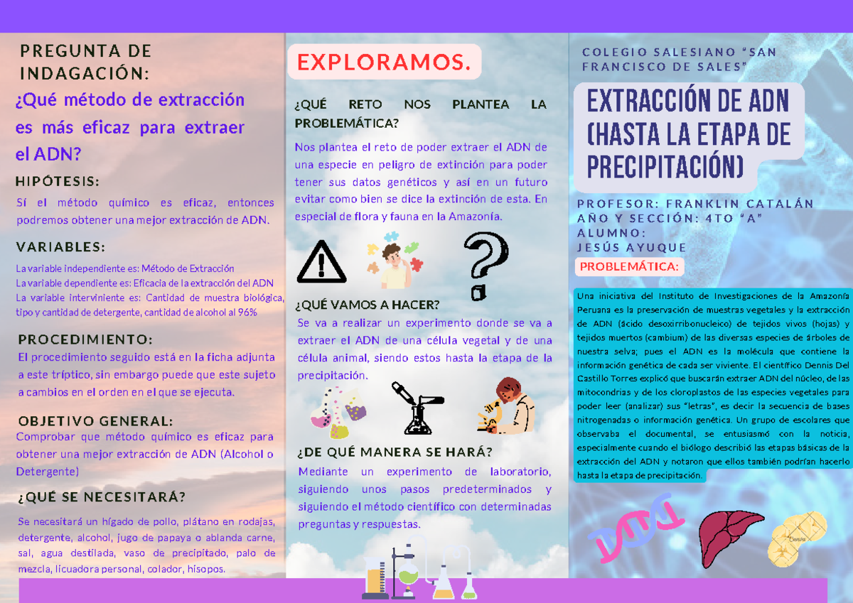 Tríptico sobre el trabajo de Indagación ADN - EXTRACCIÓN DE ADN (HASTA LA ETAPA DE PRECIPITACIÓN ...