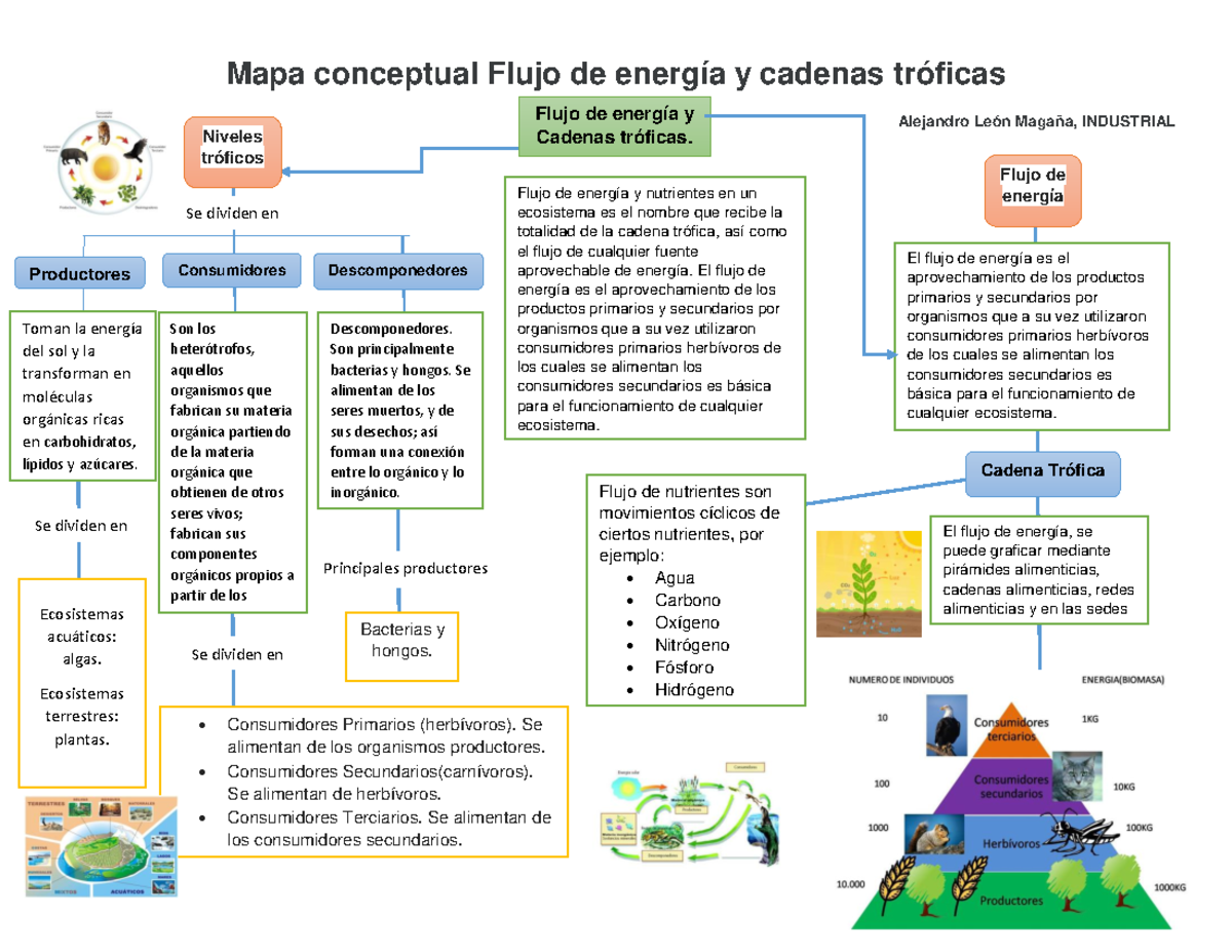Actividad 2 Mapa conceptual Flujo de energía y cadenas tróficas - Mapa conceptual Flujo de ...